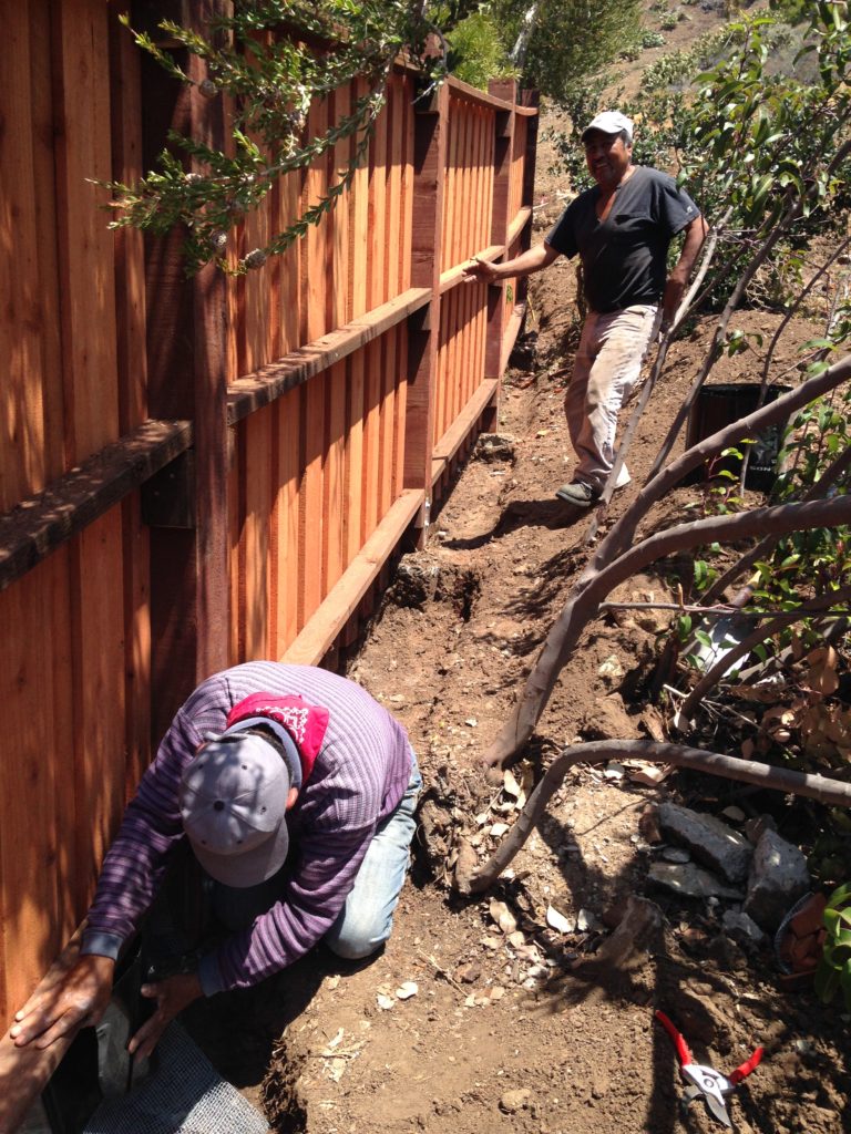 Redwood fencing installation - Malibu Tree & Landscape