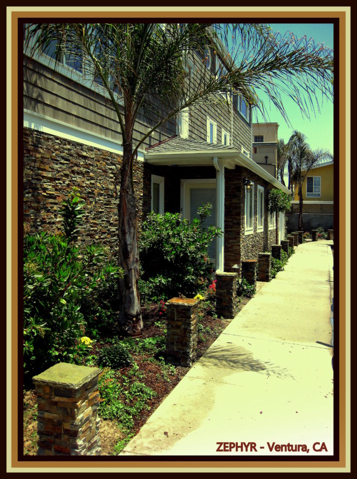 Our Portfolio - Malibu Tree & Landscape