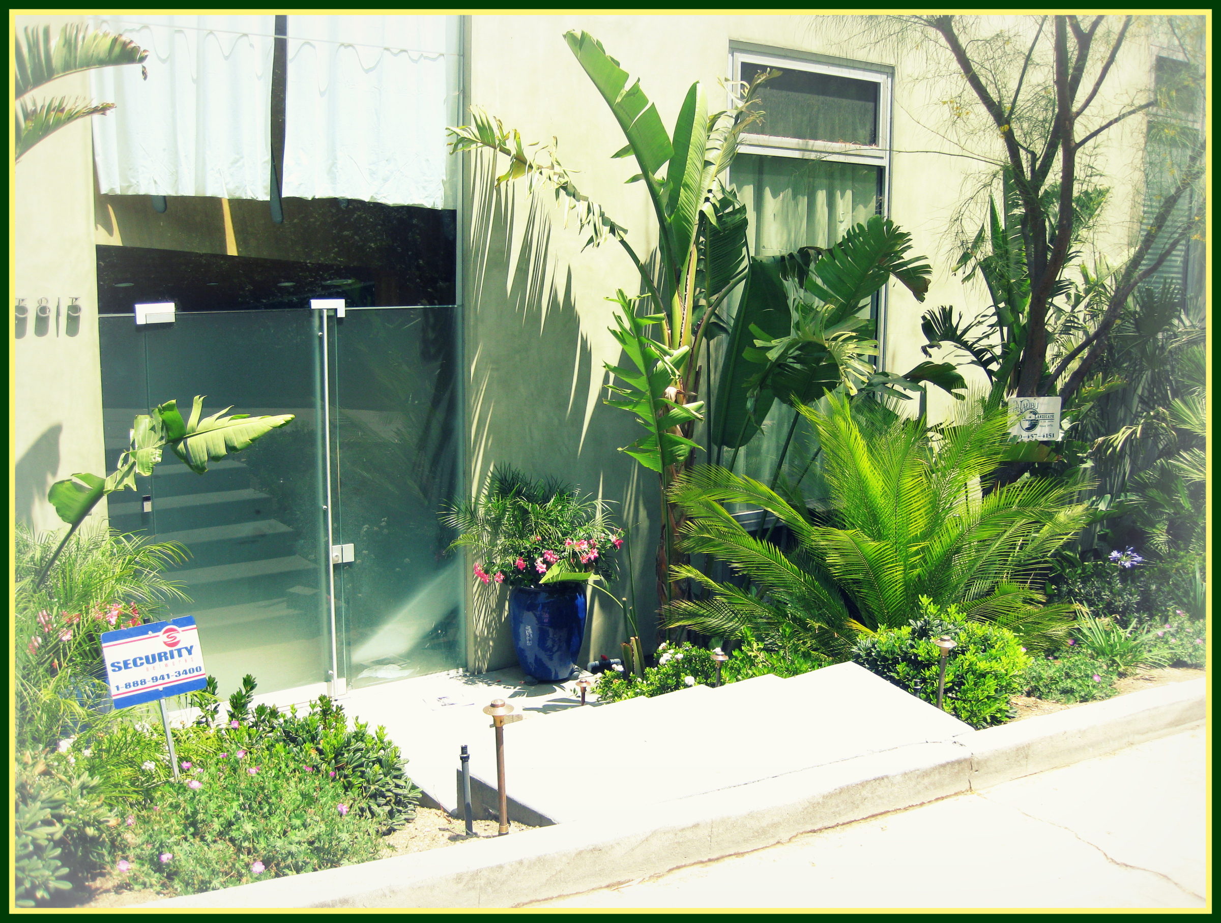 Landscape Design - Malibu Tree & Landscape