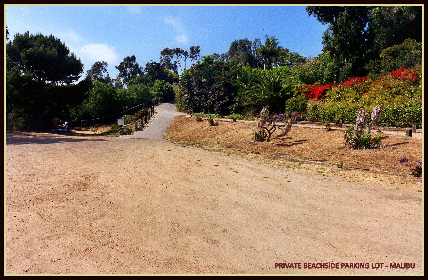 Masonry Design - Malibu Tree & Landscape