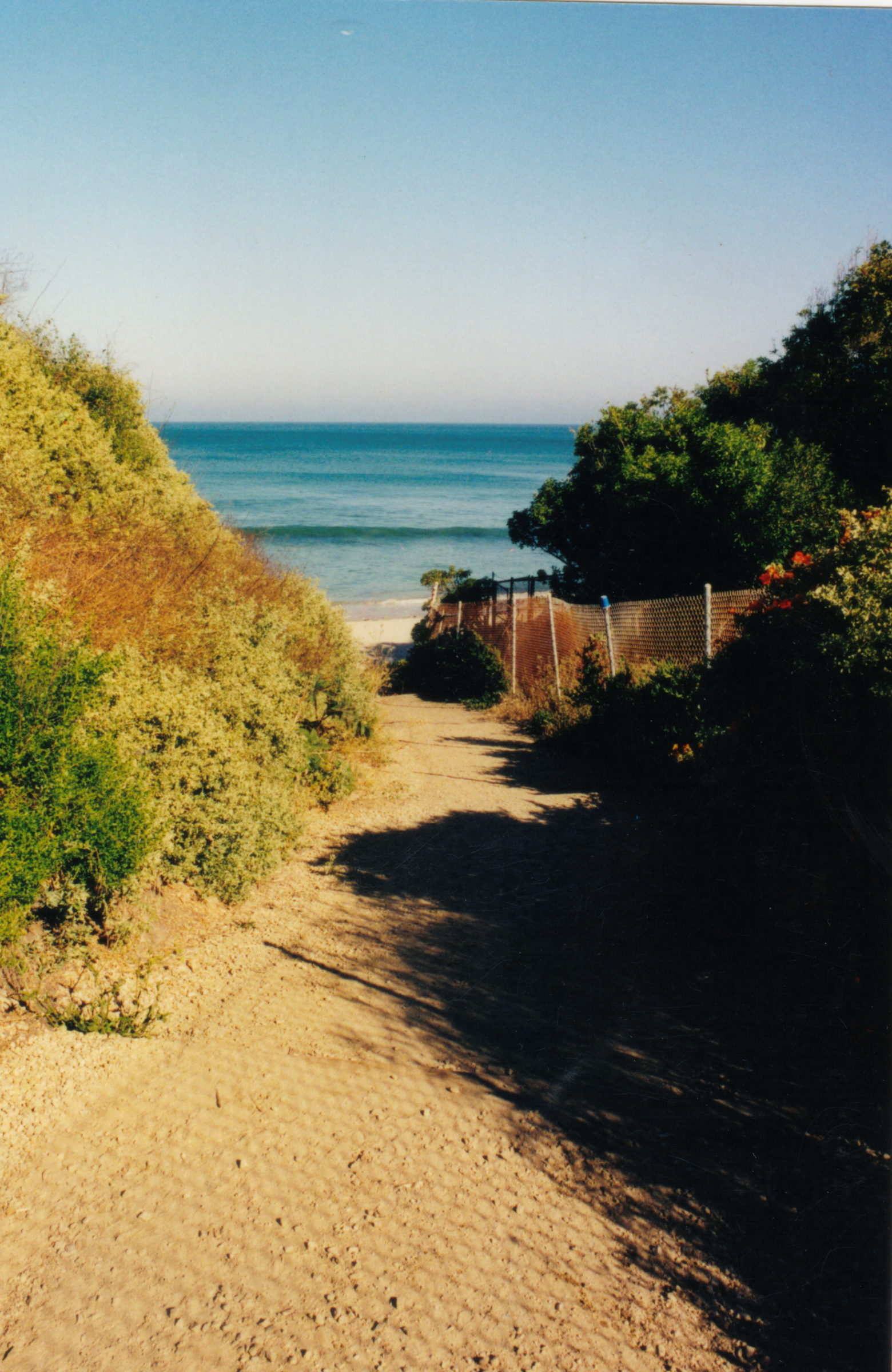 Masonry Design - Malibu Tree & Landscape