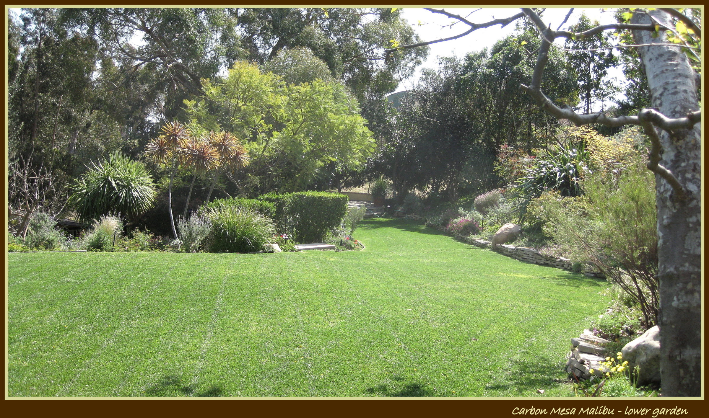 Landscape Design - Malibu Tree & Landscape