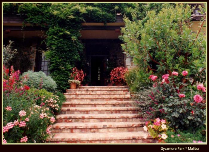 Landscape Design - Malibu Tree & Landscape