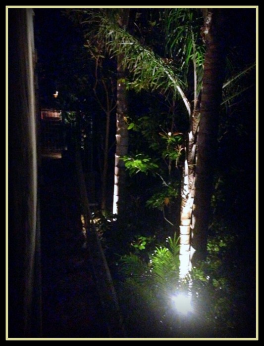 Lighting Design - Malibu Tree & Landscape