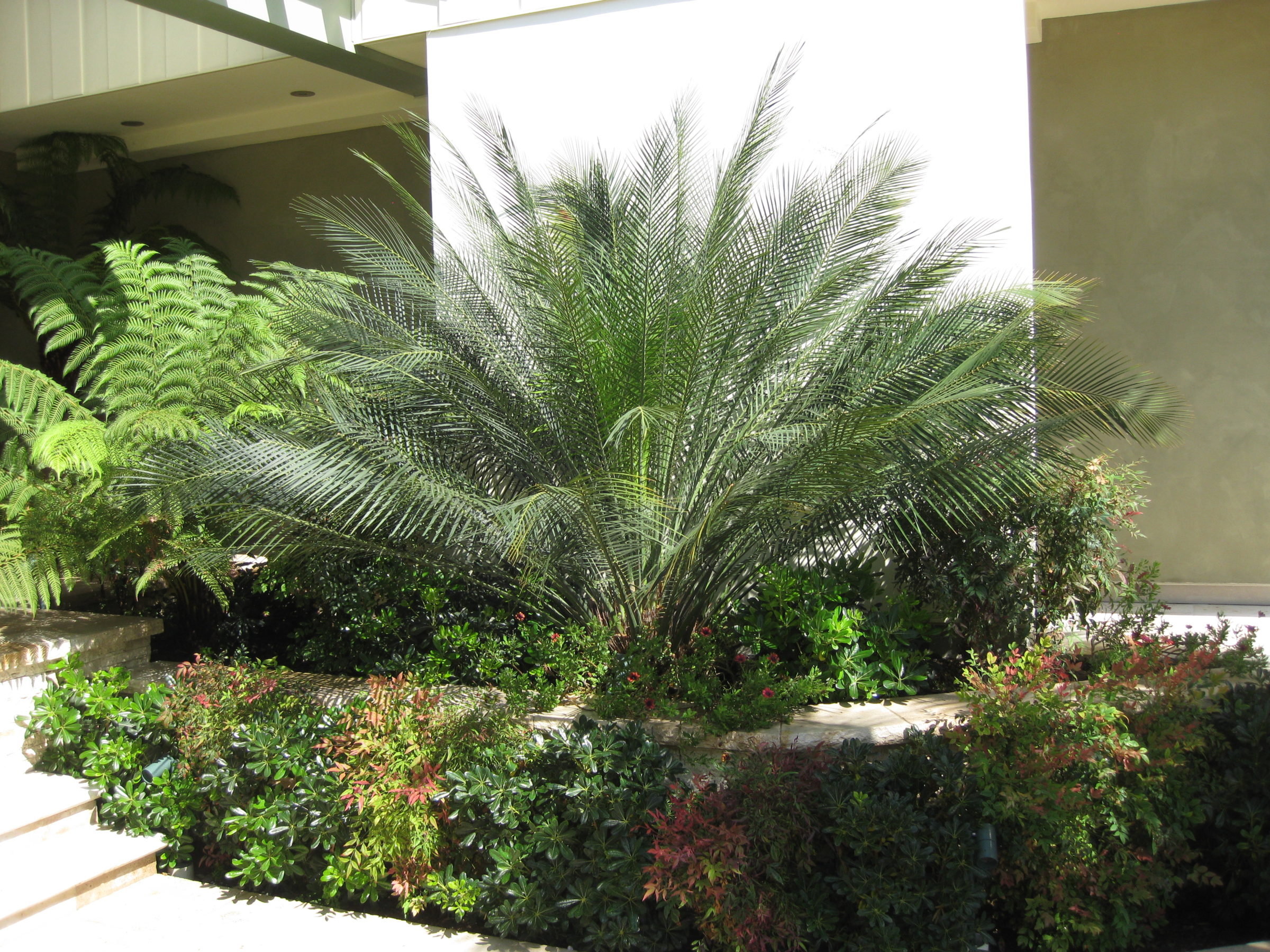 Plant Material Services - Malibu Tree & Landscape