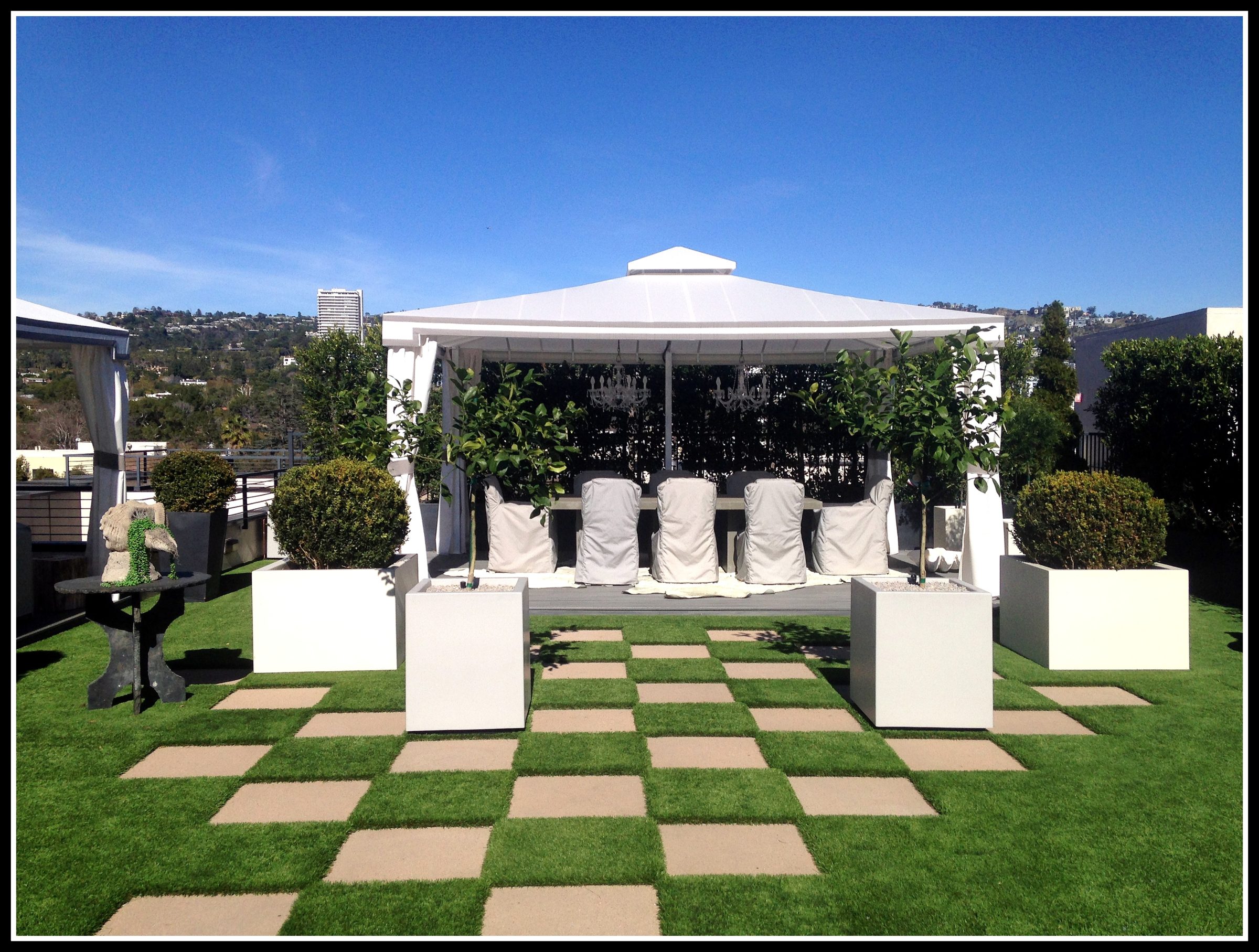 Introducing the New Malibu Tree & Landscape Website! - Malibu Tree ...