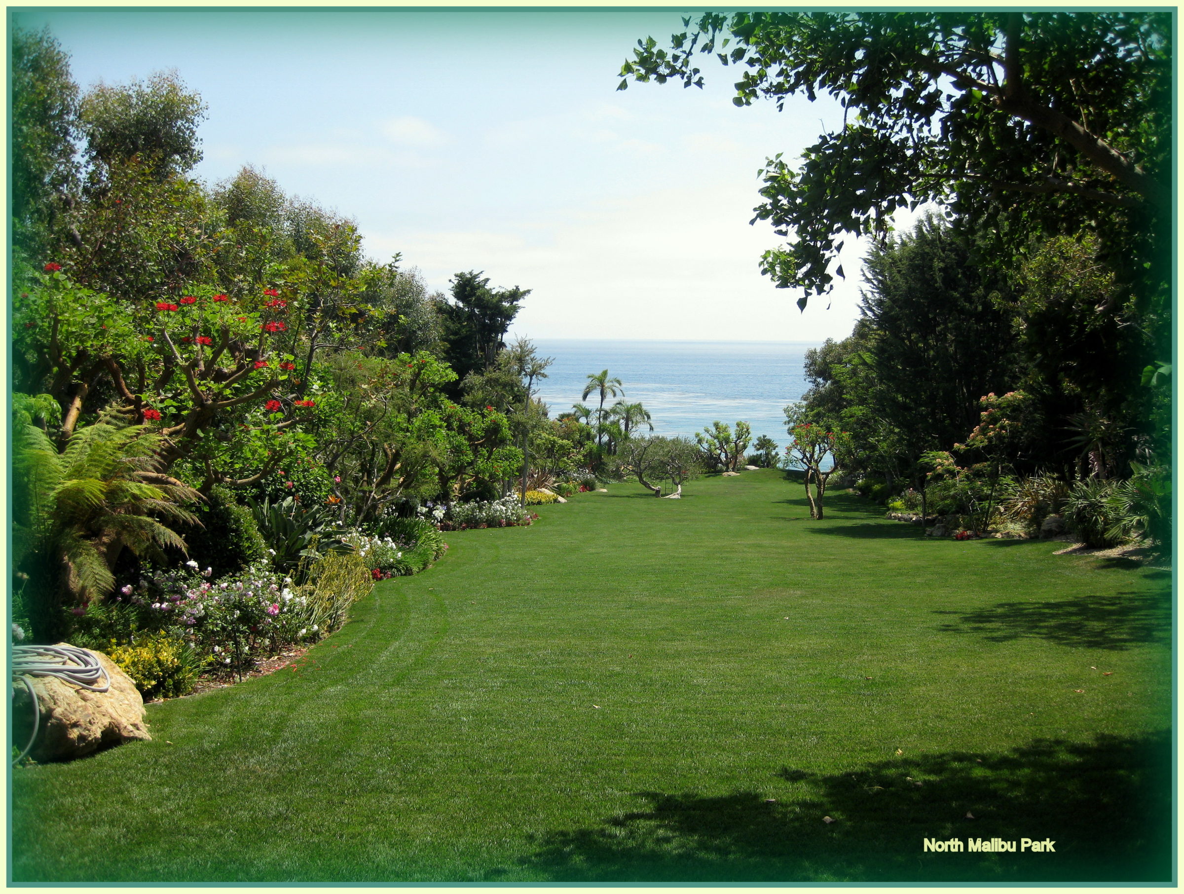 Landscape Design - Malibu Tree & Landscape