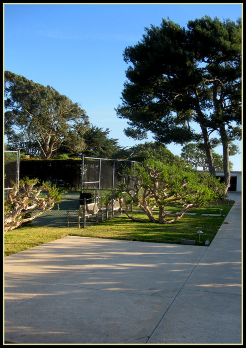 Lighting Design - Malibu Tree & Landscape