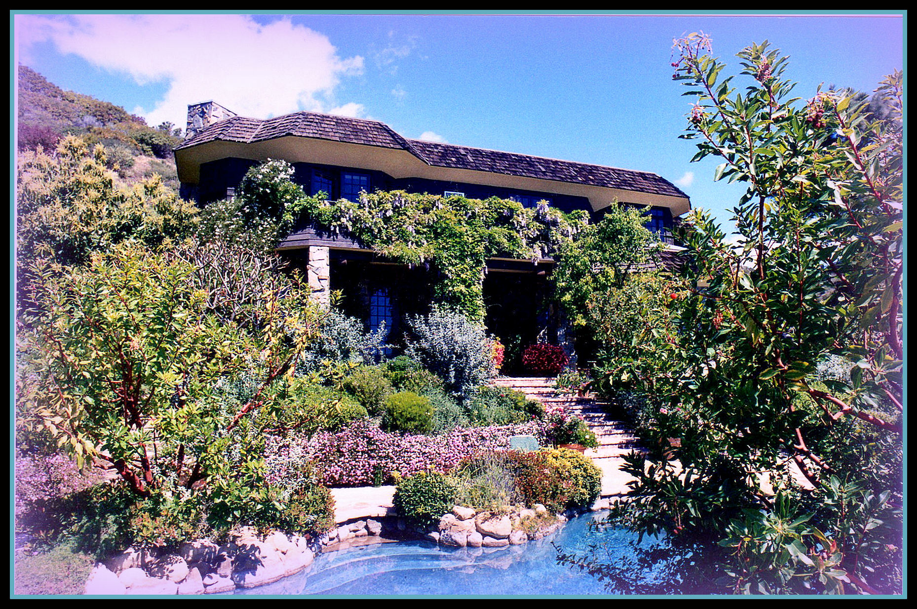 Landscape Design - Malibu Tree & Landscape